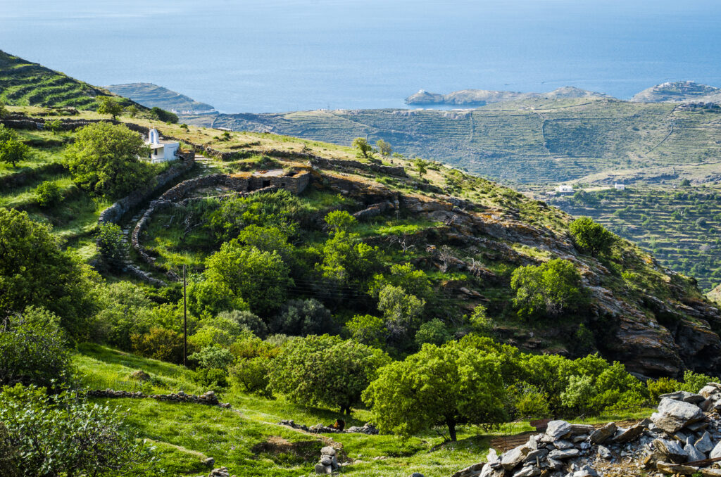 Ενημέρωση και ψυχραιμία για την σεισμική δραστηριότητα | kea.gr